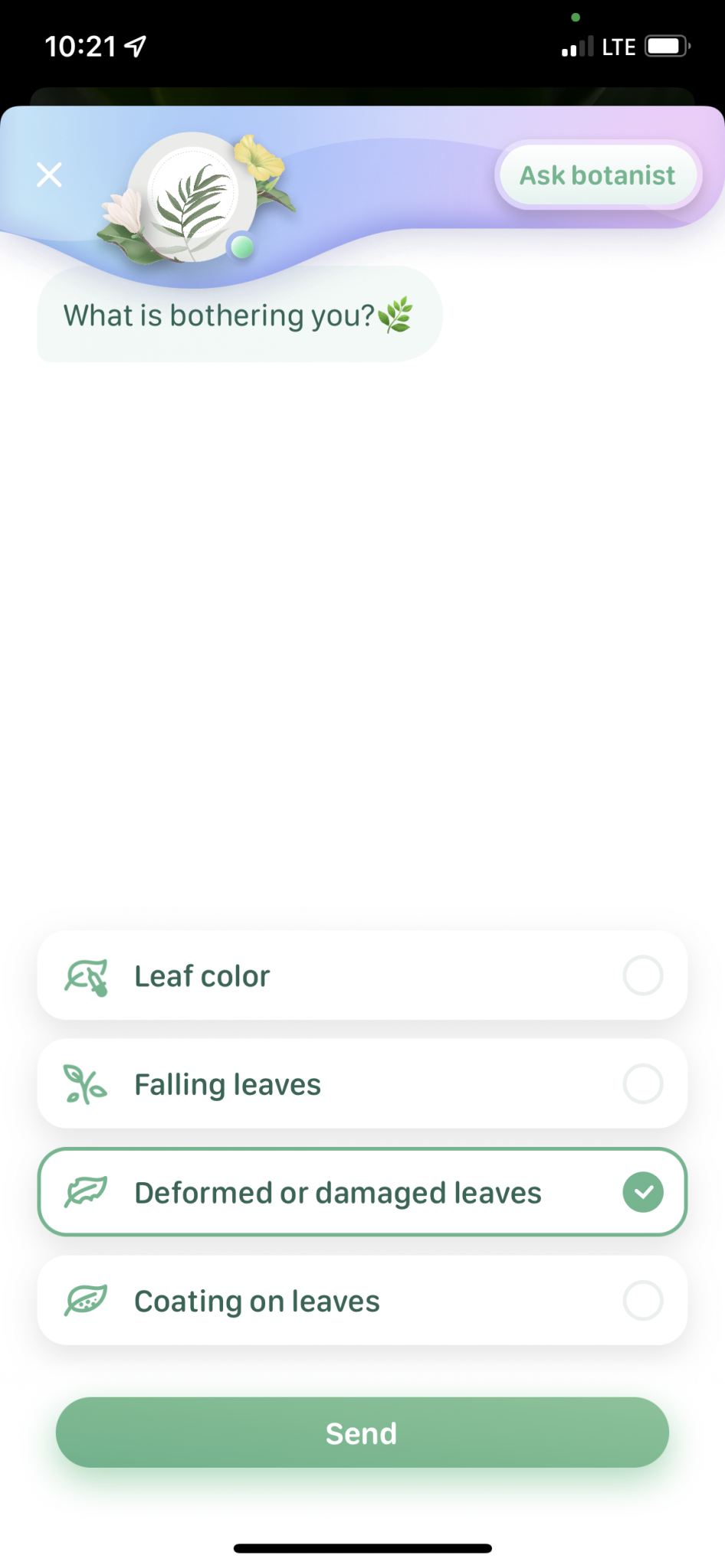 Blossom App Used Behavioral Design to Become a Top Plant Care App