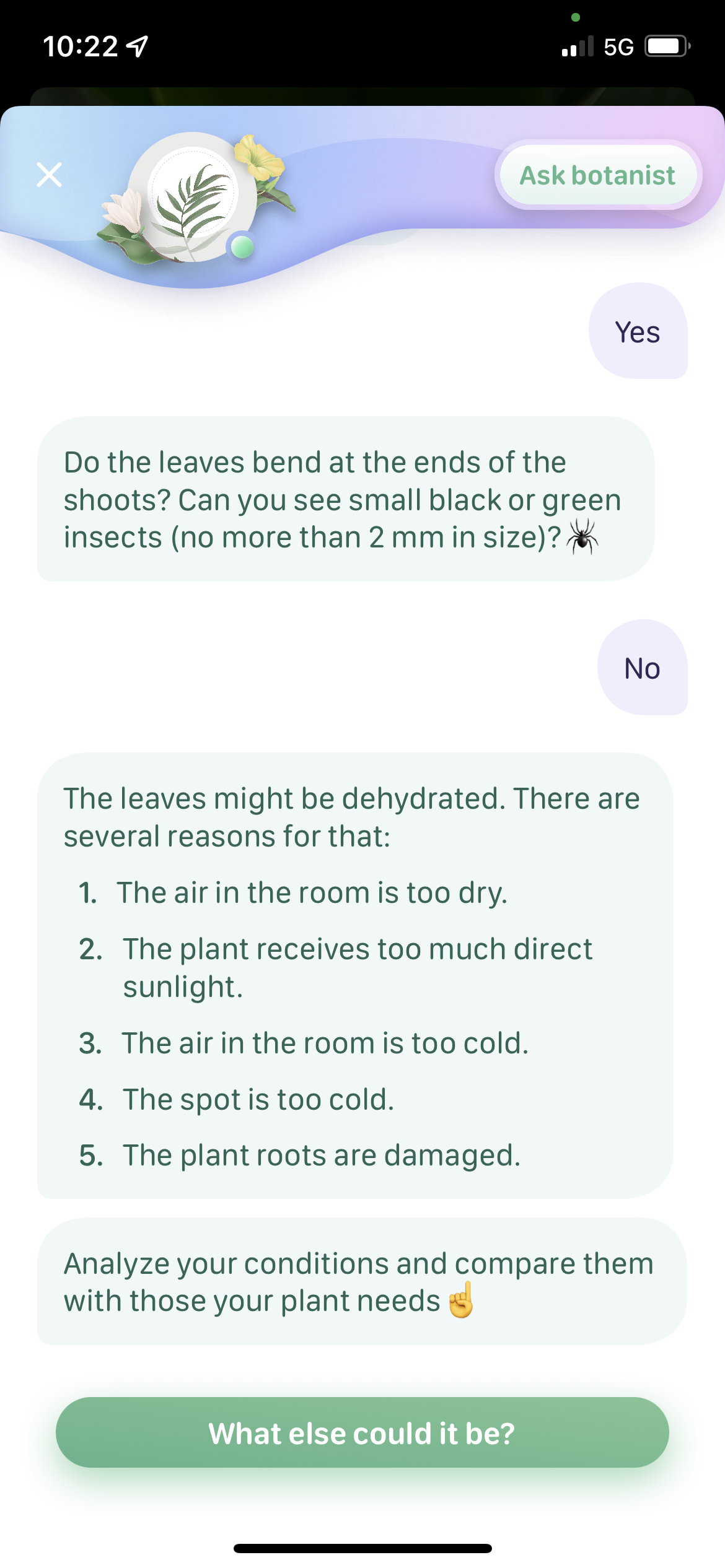 Blossom App Used Behavioral Design to Become a Top Plant Care App