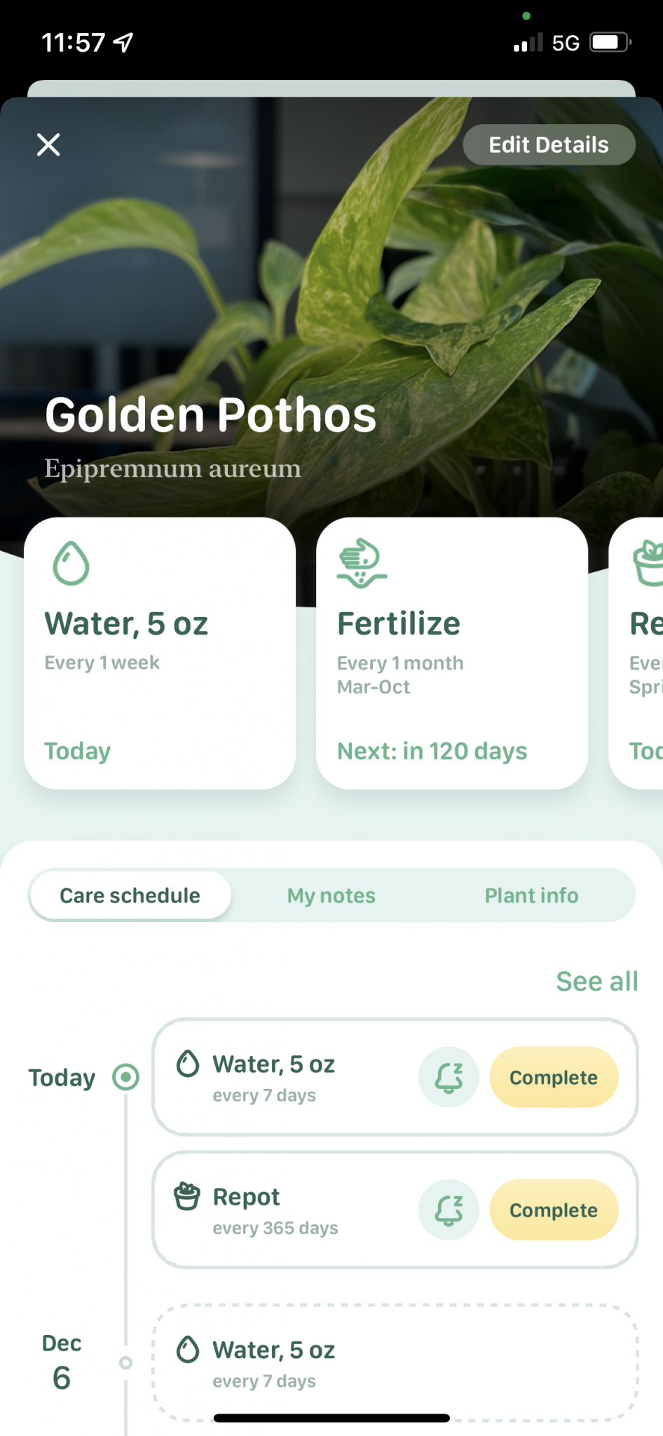 Blossom App Used Behavioral Design to Become a Top Plant Care App