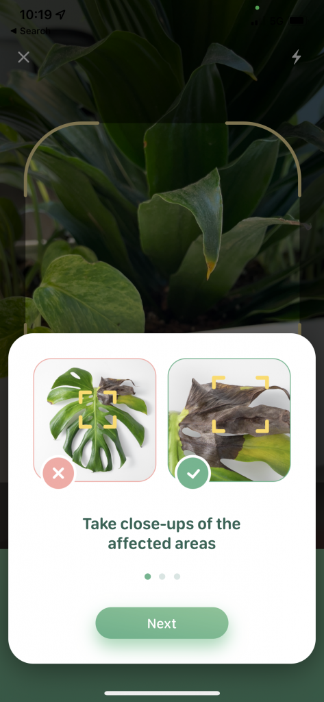 Blossom App Used Behavioral Design to Become a Top Plant Care App