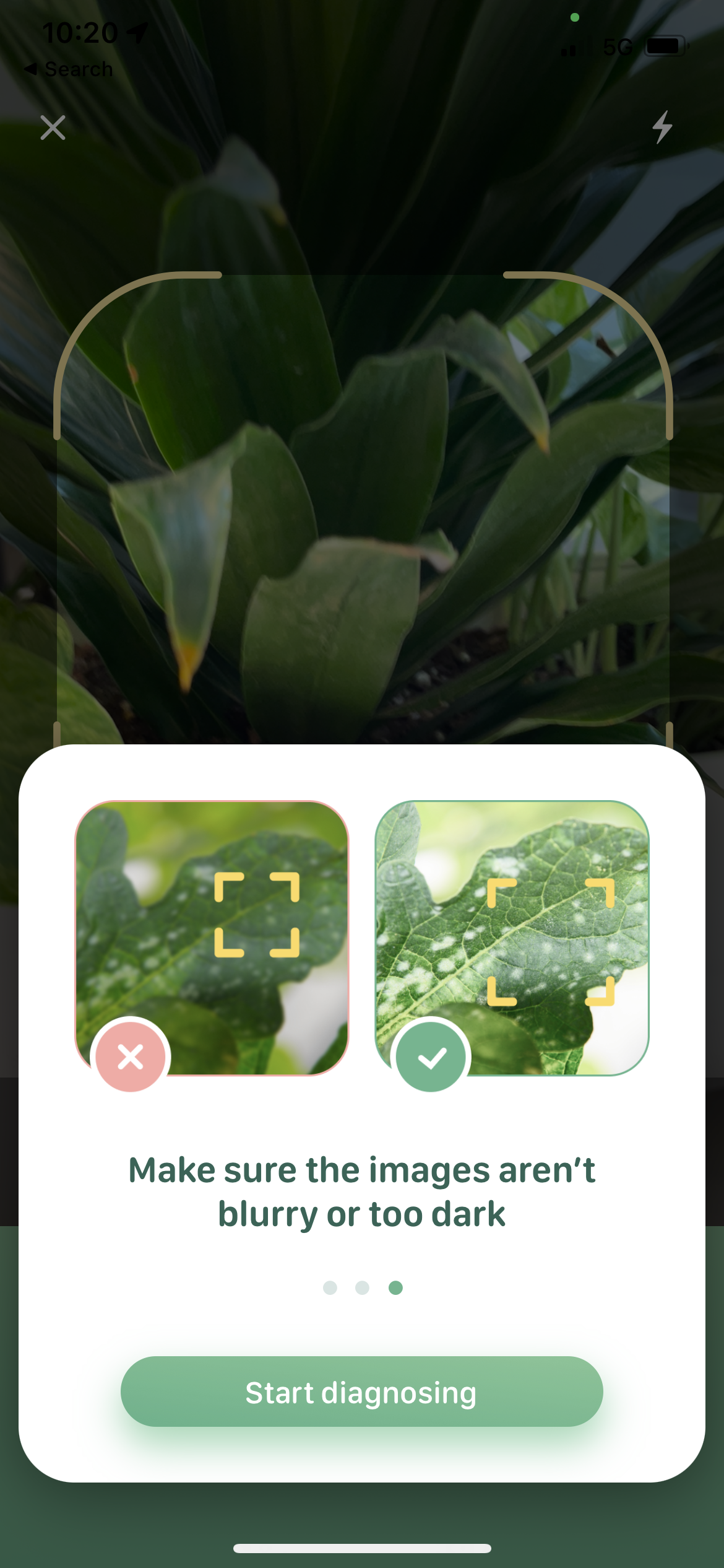 Blossom App Used Behavioral Design to Become a Top Plant Care App